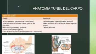 EXPOSICION SINDROME DEL TUNEL DEL CARPO 1.pptx