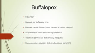 Medicina veterinaria | PPTX