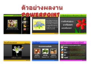 Ex powerpoint | PPSX
