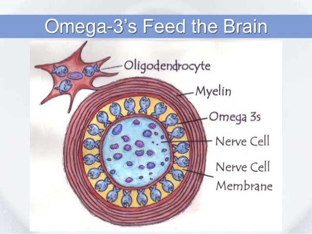 Expo West 2015 Omega-3 Talk