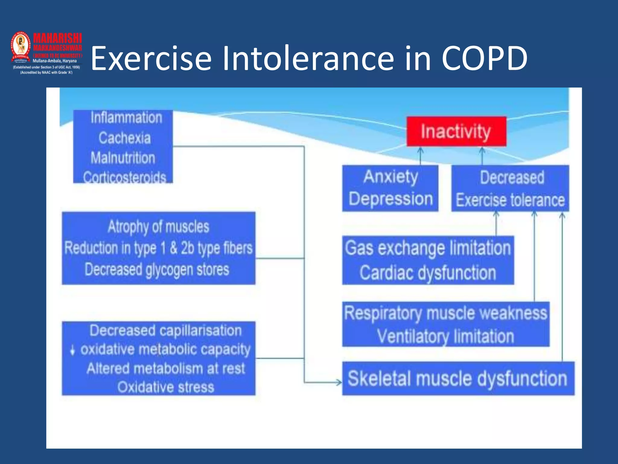 Exercise prescription in COPD | PPTX | Physical Therapy | Wellness