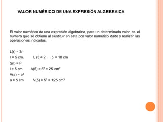Expresiones algebraicas | PPTX | Physics | Science