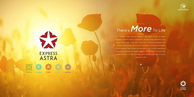 Express Astra Lush Green 2/3/4 BHK and Duplex| Noida Extension | PDF