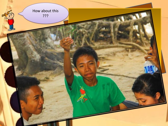 Expressing attitudes | PPT