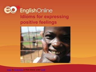 Expressing positive feelings idioms | PPTX