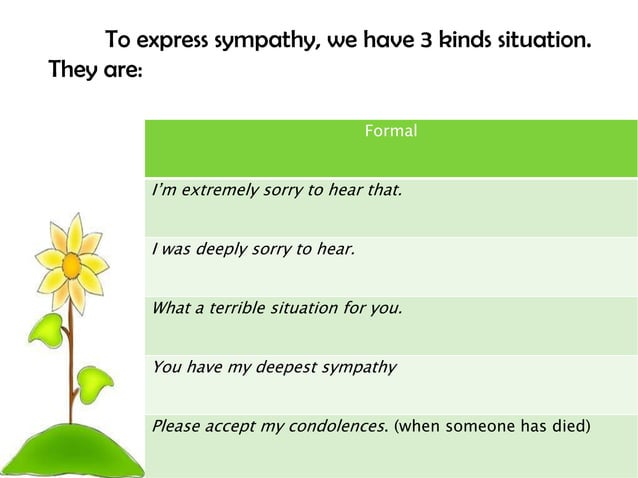 Expressing sympathy | PPTX