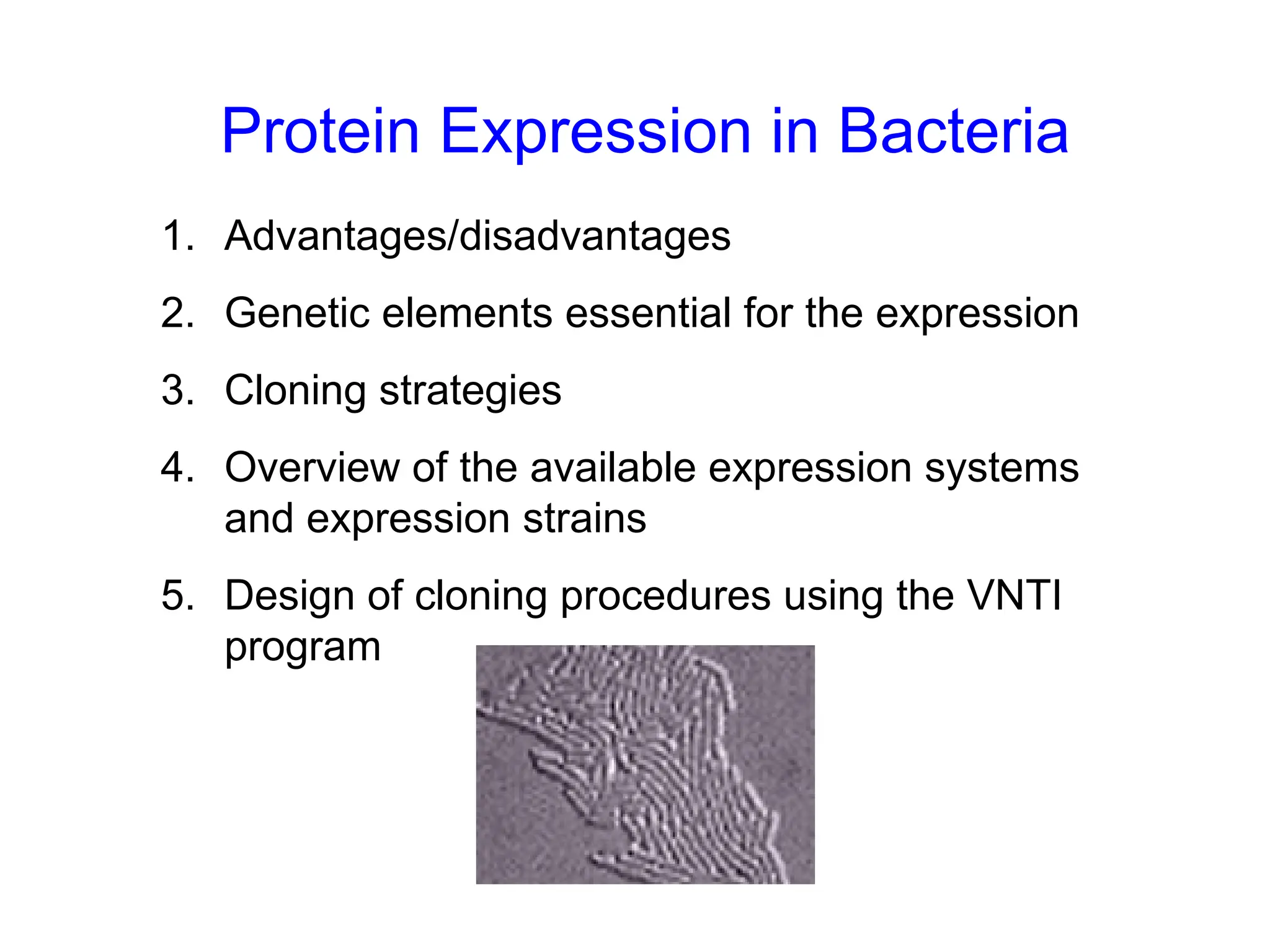 Recombinant proteins in vitro Expressing system .ppt