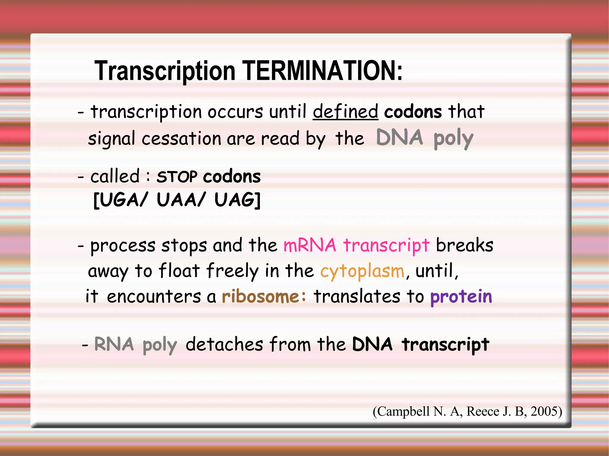 Describe - Gene Expression | PPT