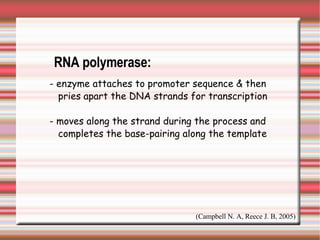 Describe - Gene Expression | PPT