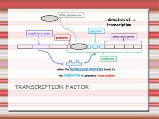 Describe - Gene Expression | PPT