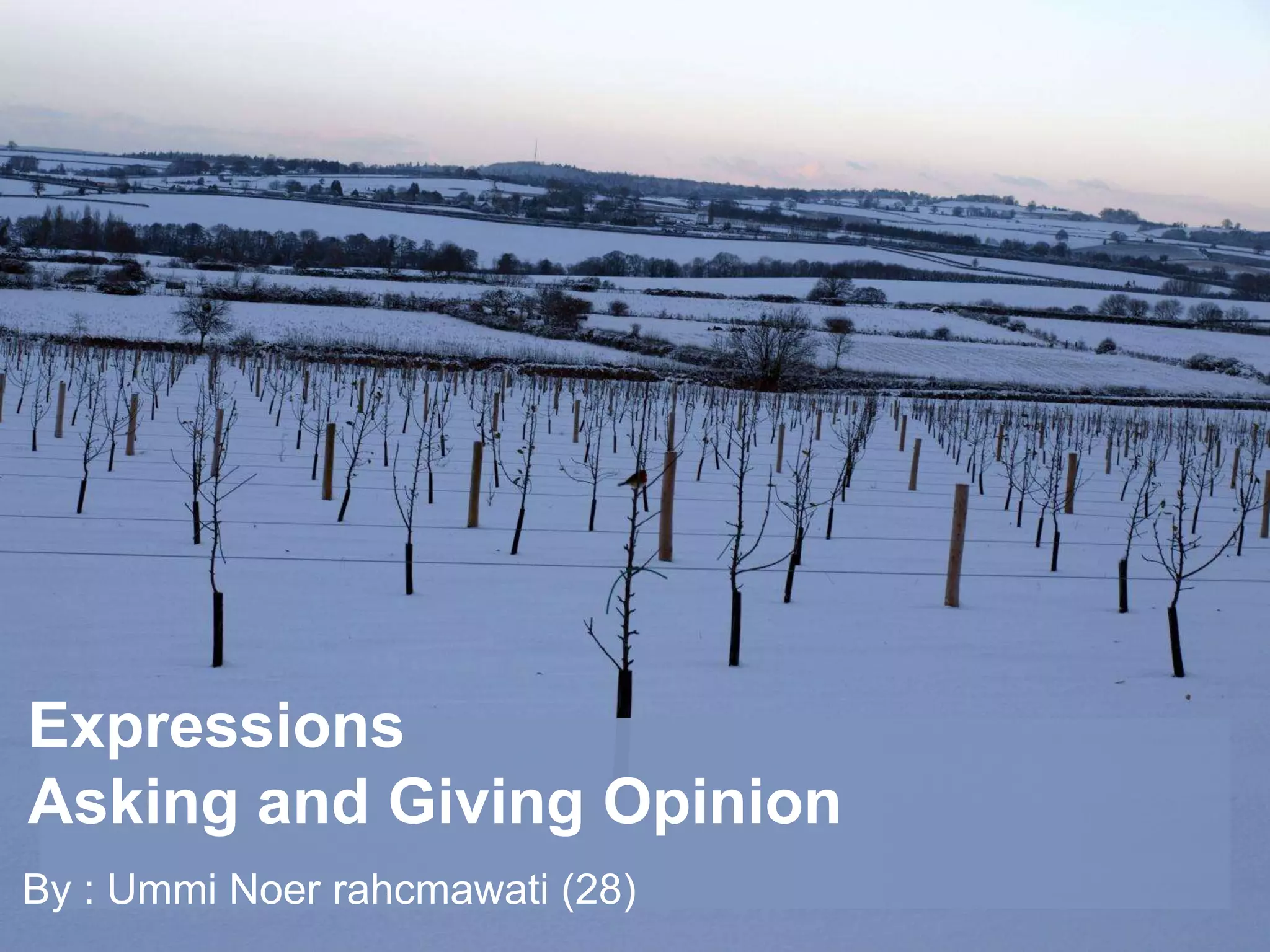 Expression (Asking and Giving opinion) | PPTX