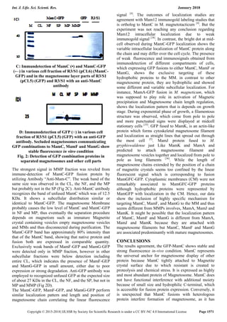 Expression and localization_of_gene_encoding_biomineralization_in ...