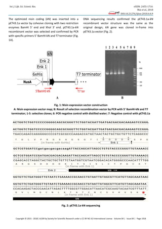 Expression and Purification of Nisin in Escherichia coli | PDF