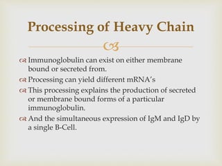 Expression of Immunoglobin gene | PPTX