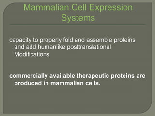 Expression of recombinant proteins in mammalian cell lines | PPTX