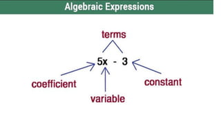 Expressions and Formulae.pptx Algebraic expressionsAlgebraic expressions | PPTX | Physics | Science
