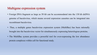 Expression system | PPT