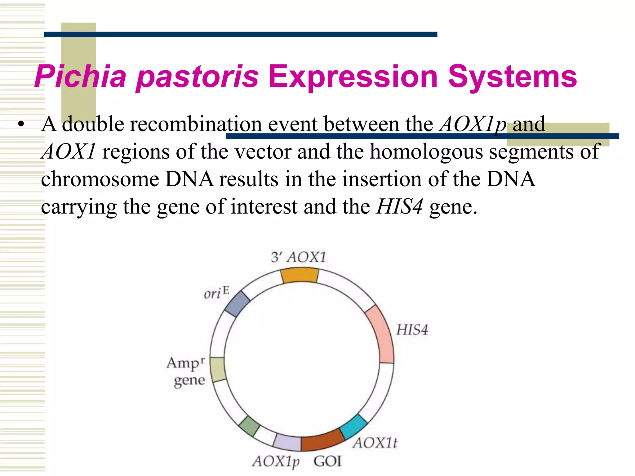Expression system final | PPTX