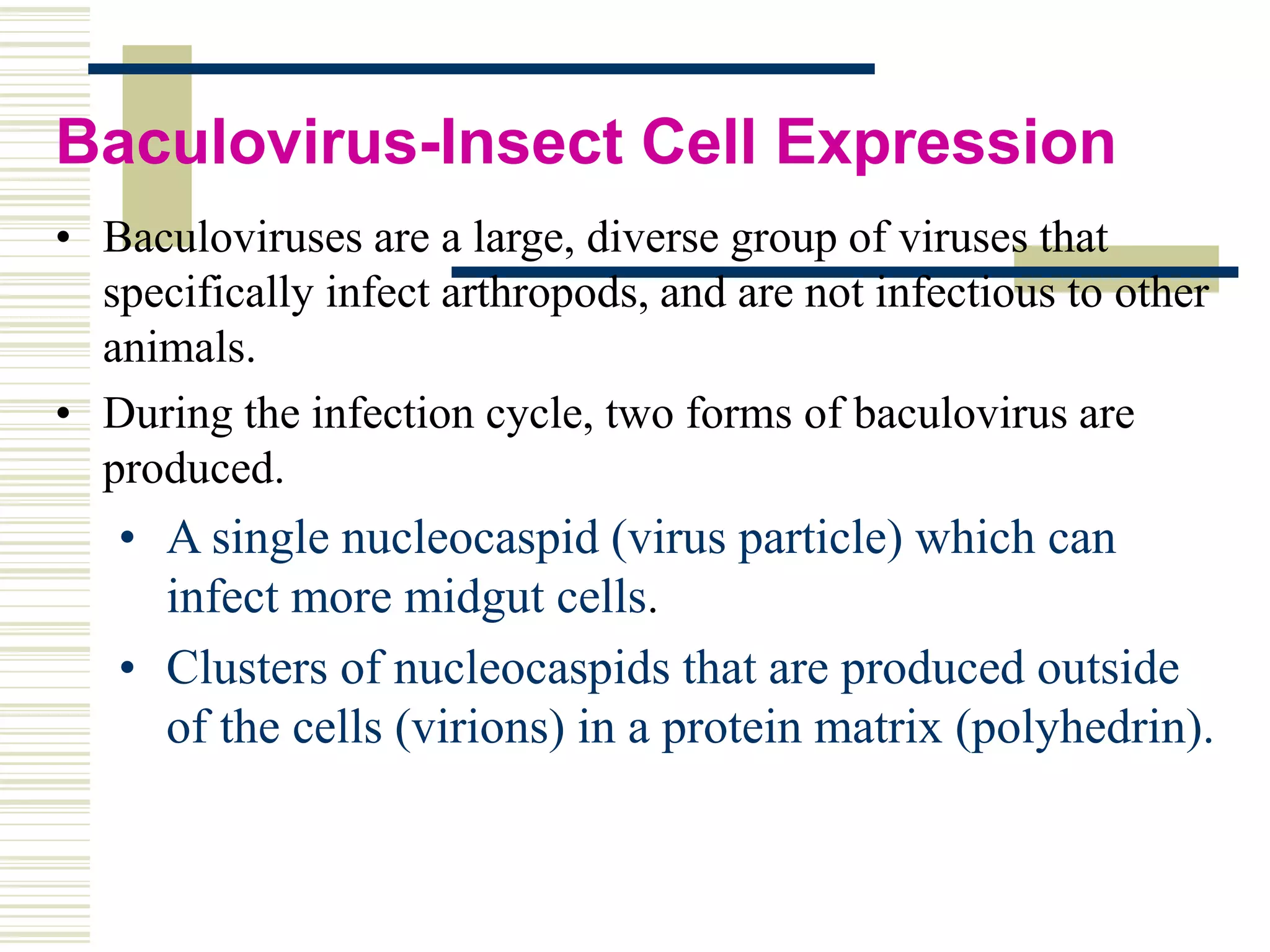 Expression system final | PPTX