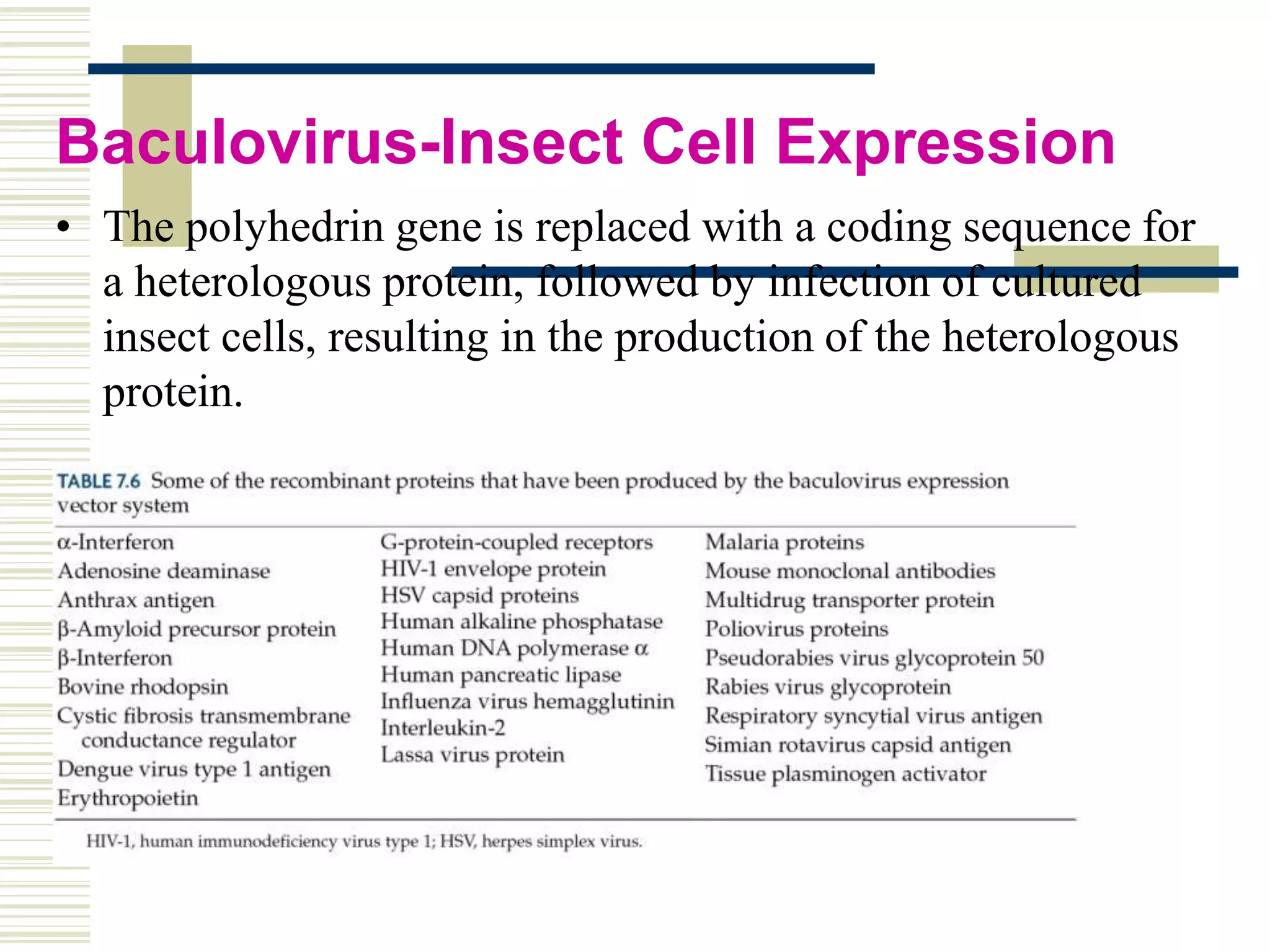 Expression system final | PPTX