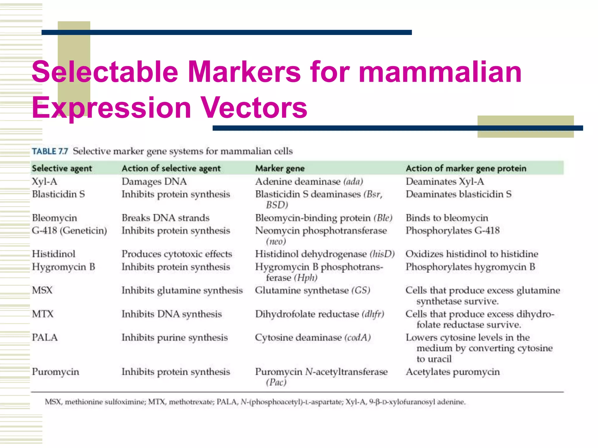 Expression system final | PPTX