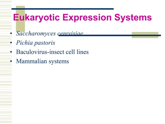 Expression system final | PPTX | Programming Languages | Computing
