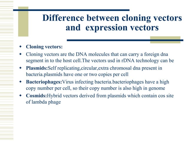 Expression system final | PPTX | Programming Languages | Computing