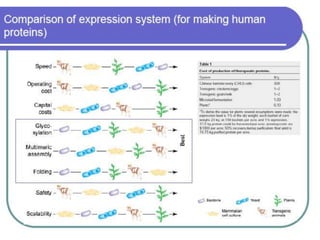 Expression systems | PPTX