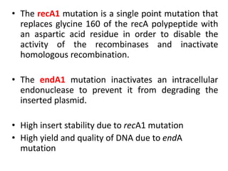 EXPRESSION SYSTEMS.ppt