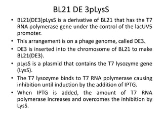 EXPRESSION SYSTEMS.ppt