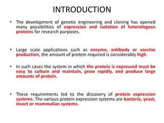 EXPRESSION SYSTEMS.ppt