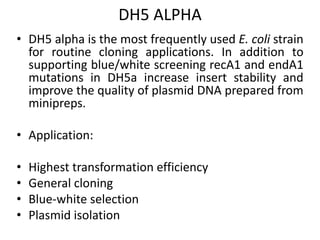 EXPRESSION SYSTEMS.ppt
