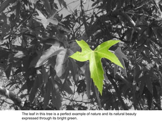 Expression through color | PPT