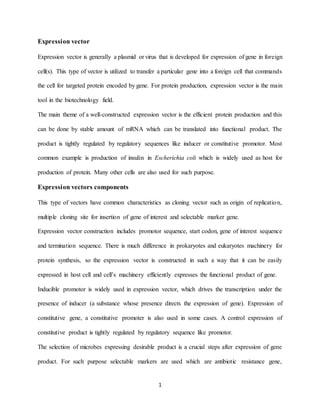 Expression vector | DOCX