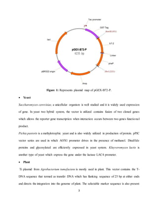 Expression vector | DOCX