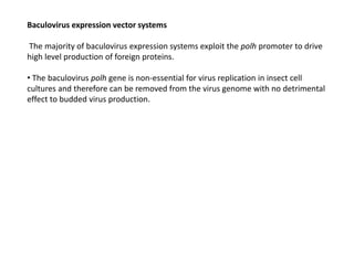 Expression vector, baculovirus expression vector | PPTX | Programming Languages | Computing
