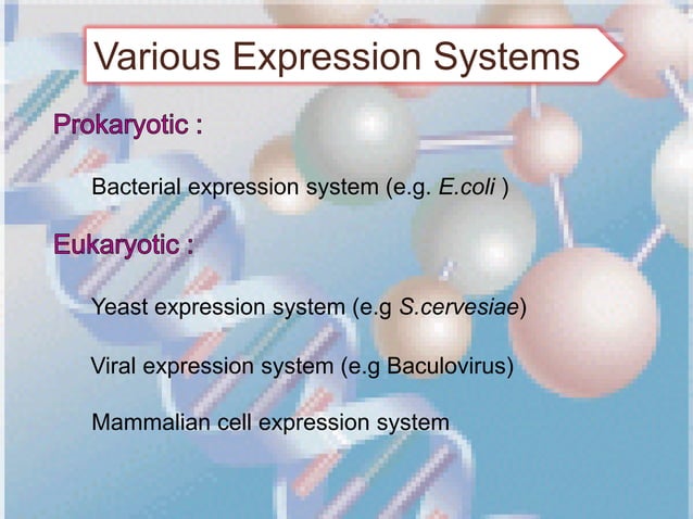 Expression vectors | PDF
