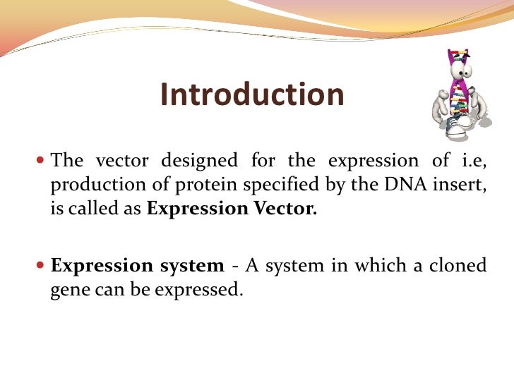 Expression vectors