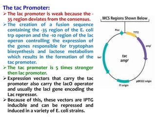 Expression vectors | PPTX