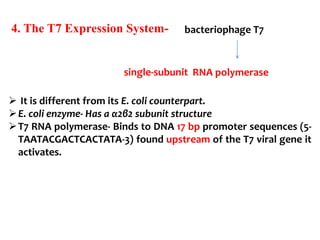 Expression vectors | PPTX
