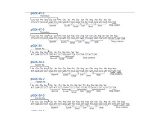 expression vectors.pdf