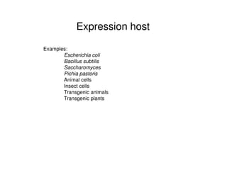 expression vectors.pdf