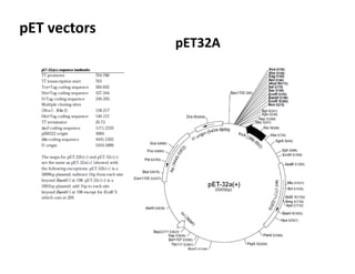 expression vectors.pdf