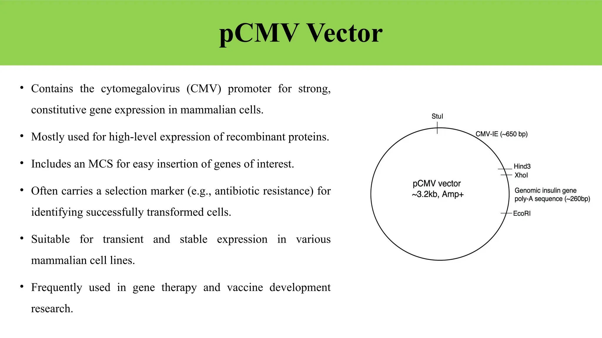 Introduction to Expression vectors.pptx