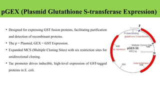 Introduction to Expression vectors.pptx