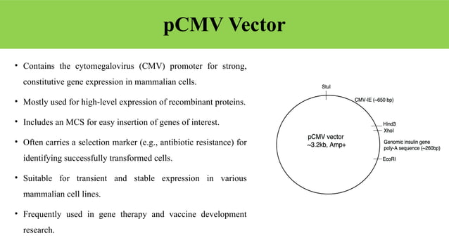 Introduction to Expression vectors.pptx