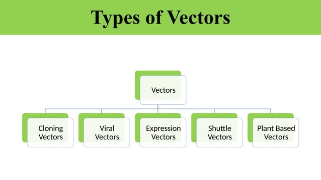 Introduction to Expression vectors.pptx