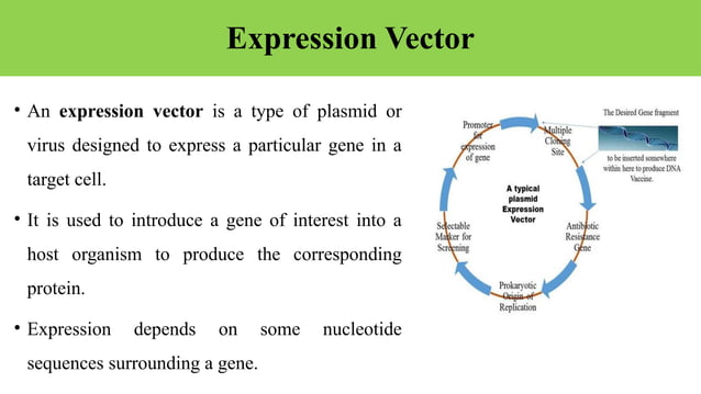Introduction to Expression vectors.pptx