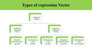 Introduction to Expression vectors.pptx