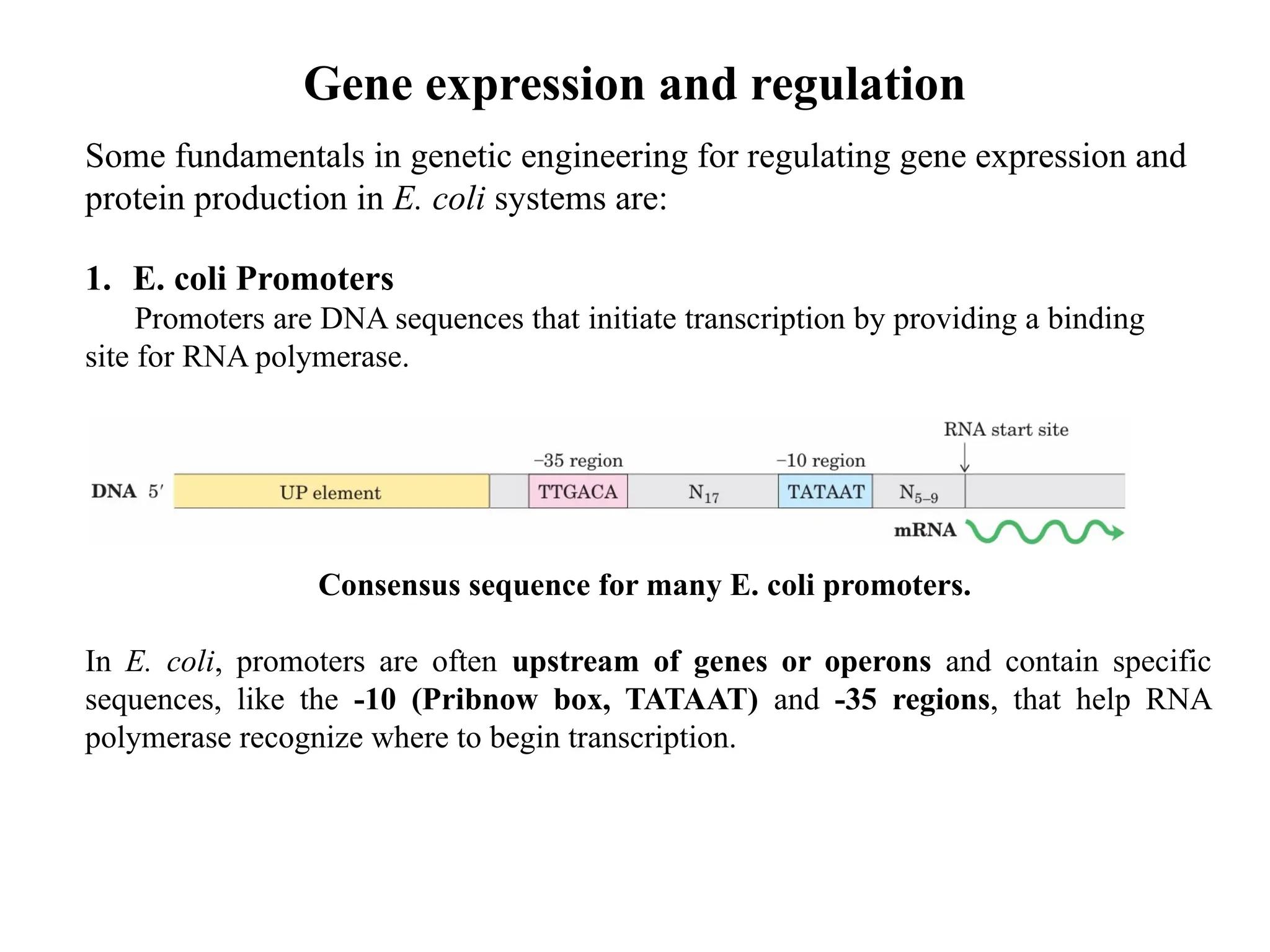 EXPRESSION VECTORS and bacteriophage vectors.pptx